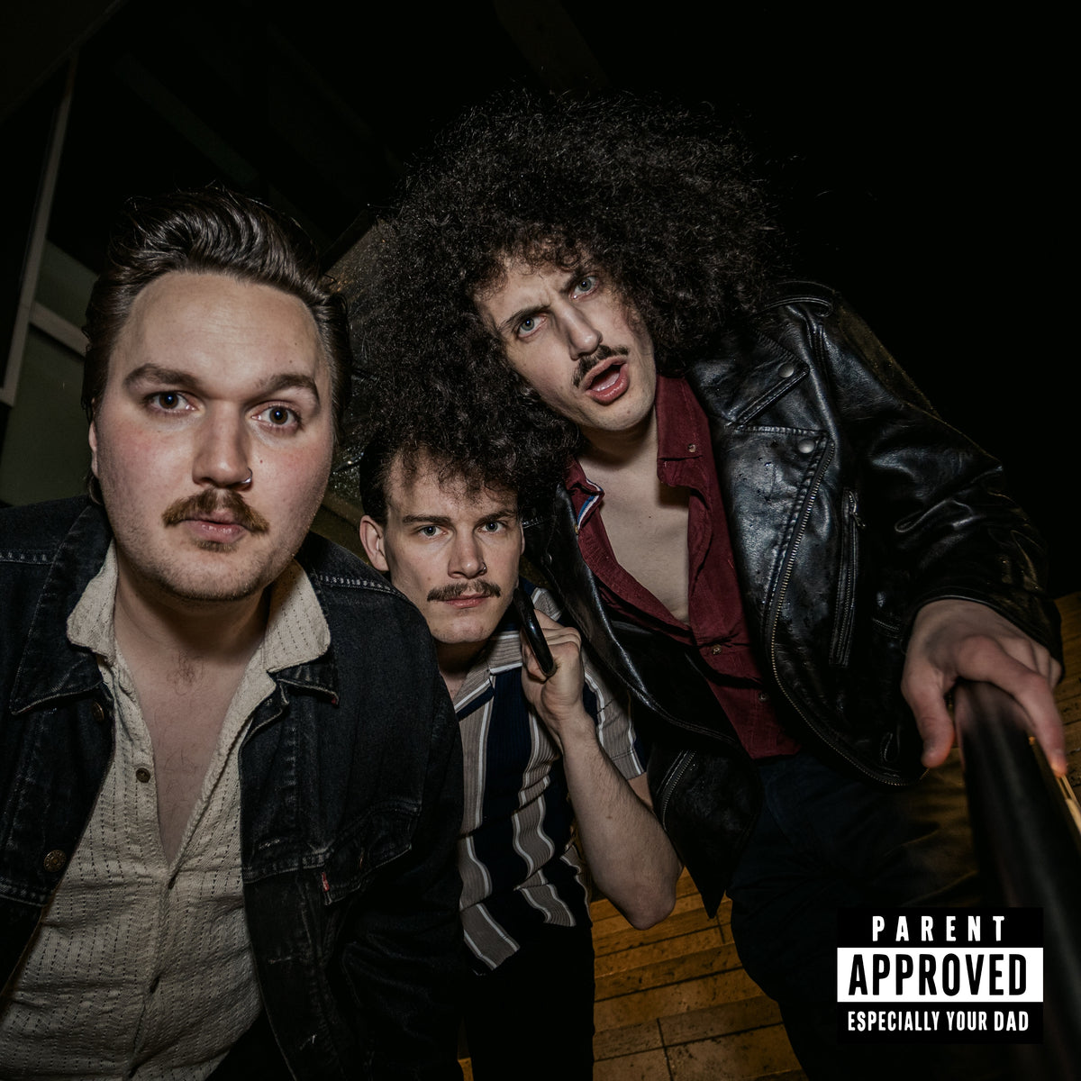 The Vidos - The ICU | Rock Is Dead Records – 604 Shop