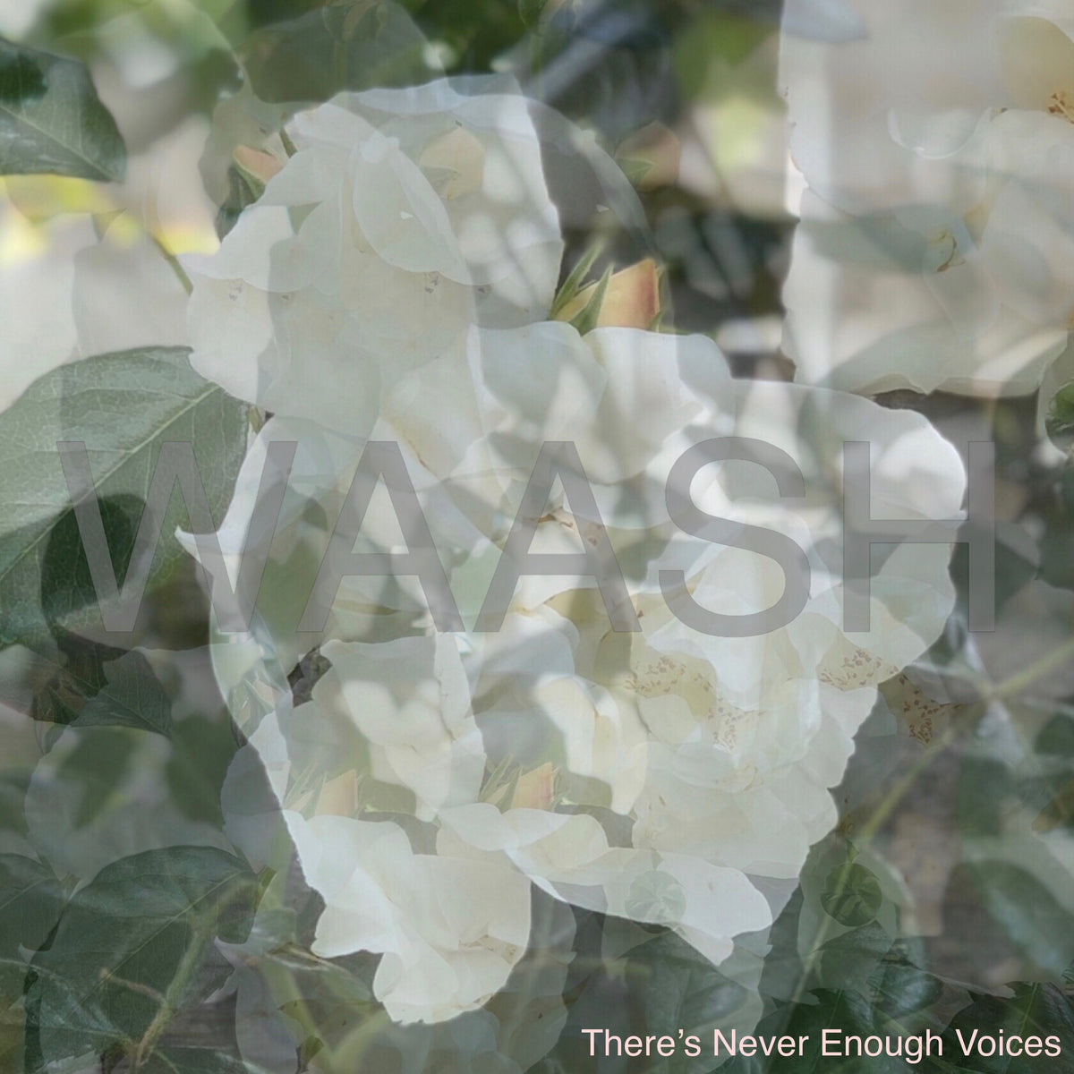 WAASH | There's Never Enough Voices – 604 Shop