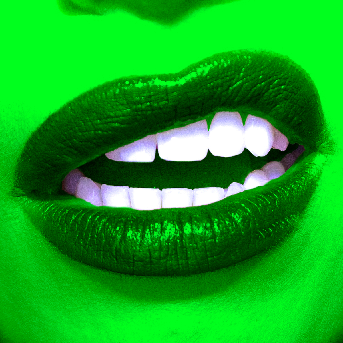 Fake Shark - Monster | Light Organ Records – 604 Shop