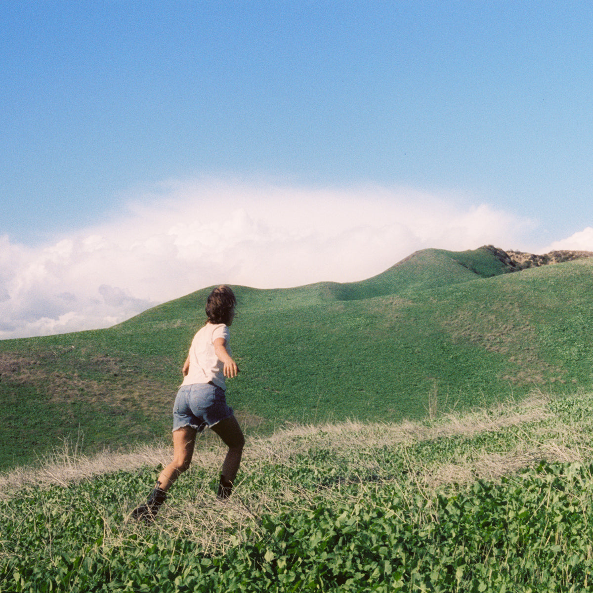 Frances Whitney - Going Somewhere | 604 Records – 604 Shop