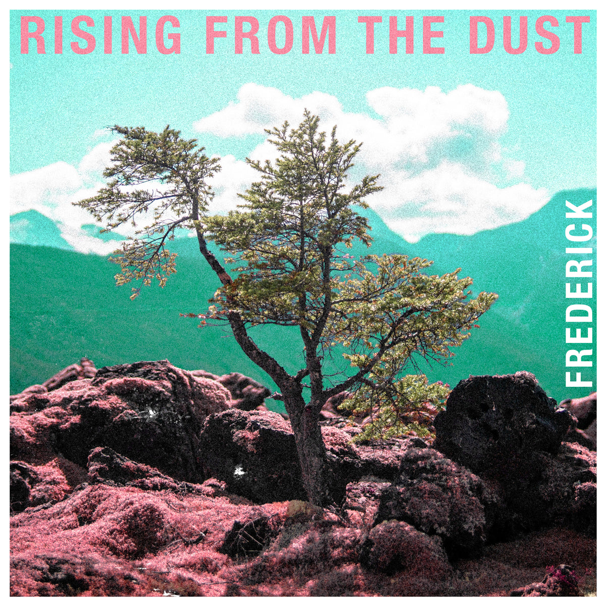 Frederick Rising From The Dust – 604 Shop
